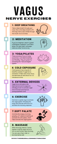 Daily Vagus Nerve Exercises PDF: Unlock Your Well-Being